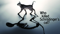 A ridiculously short introduction to some very basic quantum mechanics ...