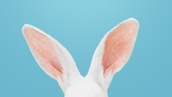 Editing your work | plus.maths.org