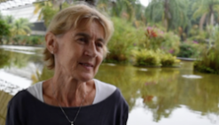 An interview with June Barrow-Green | plus.maths.org