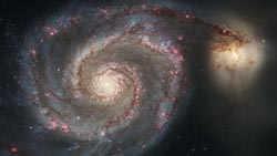 The selfish herd | plus.maths.org