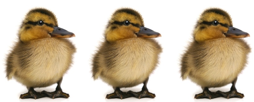 Our theory of very nearly everything: the particles | plus.maths.org