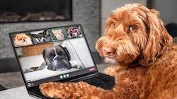 Getting started | plus.maths.org