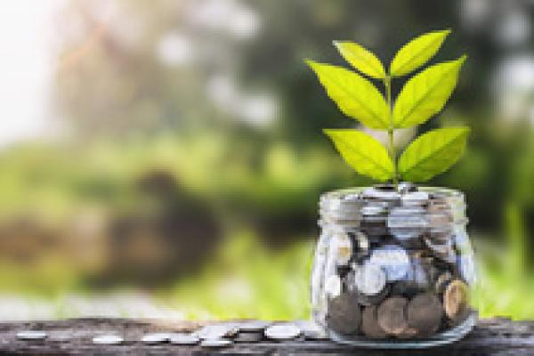 Welcome to Plus! | plus.maths.org